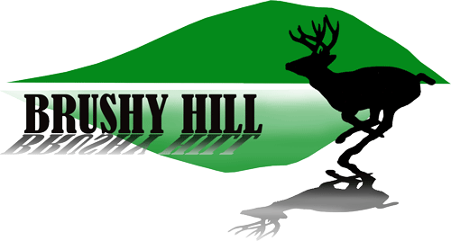 Brushy Hill Ranch – South Texas Bow Hunting Ranch